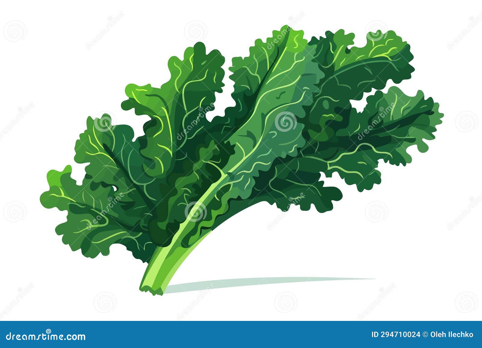 Kale Vector Flat Minimalistic Asset Isolated Vector Style Illustration ...