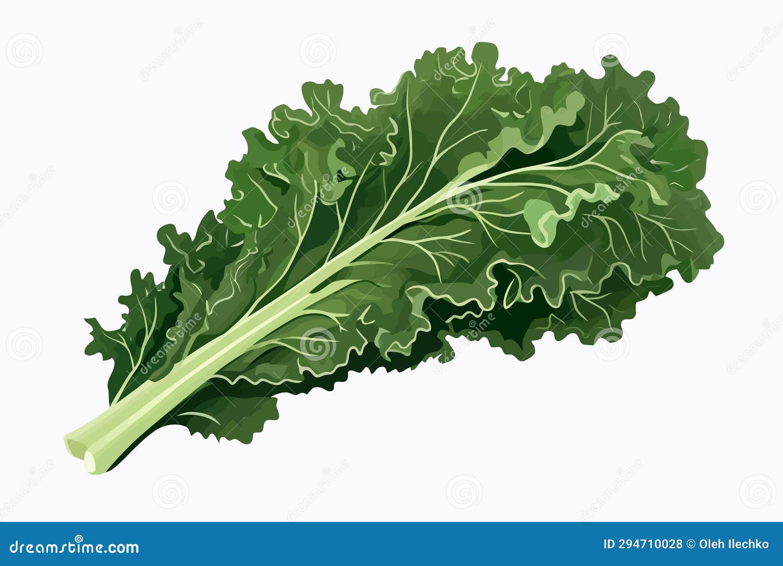 Kale Vector Flat Minimalistic Asset Isolated Vector Style Illustration ...