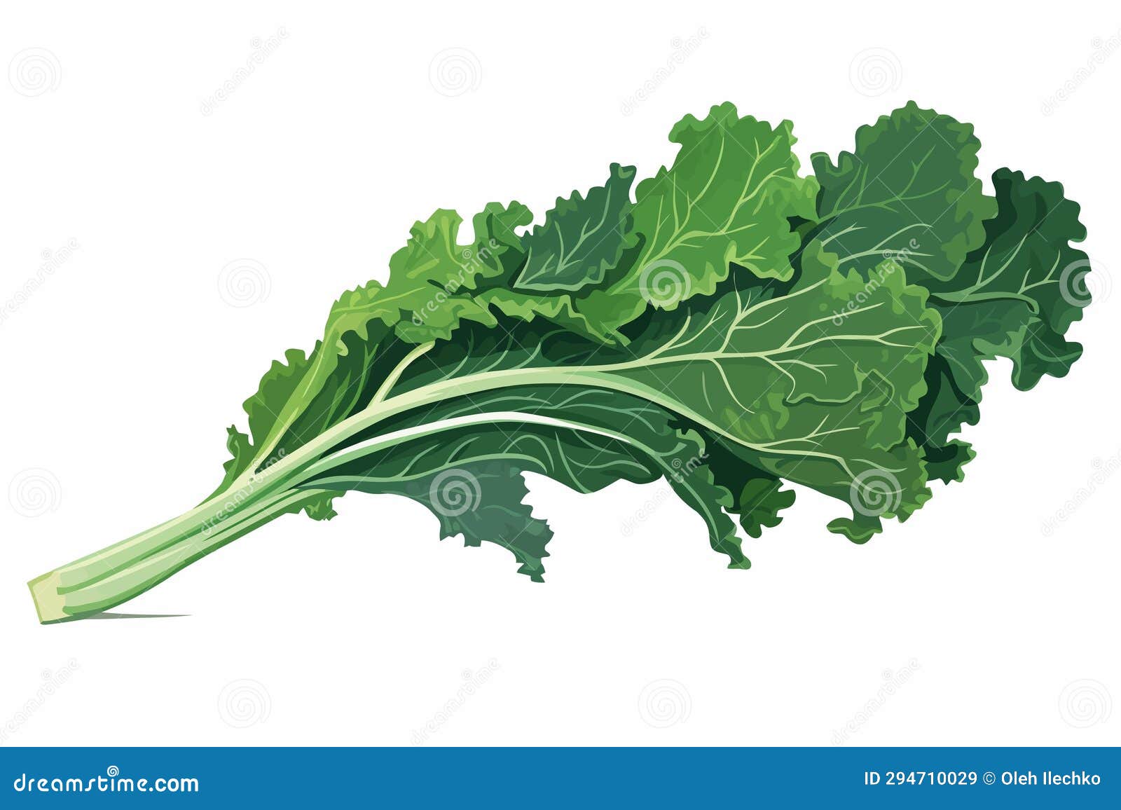 Kale Vector Flat Minimalistic Asset Isolated Vector Style Illustration ...
