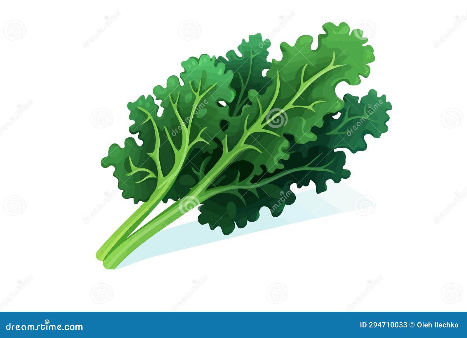 Sea Kale. Vector Of Algae. Hand Drawn Sea Kale, Seaweed | CartoonDealer ...