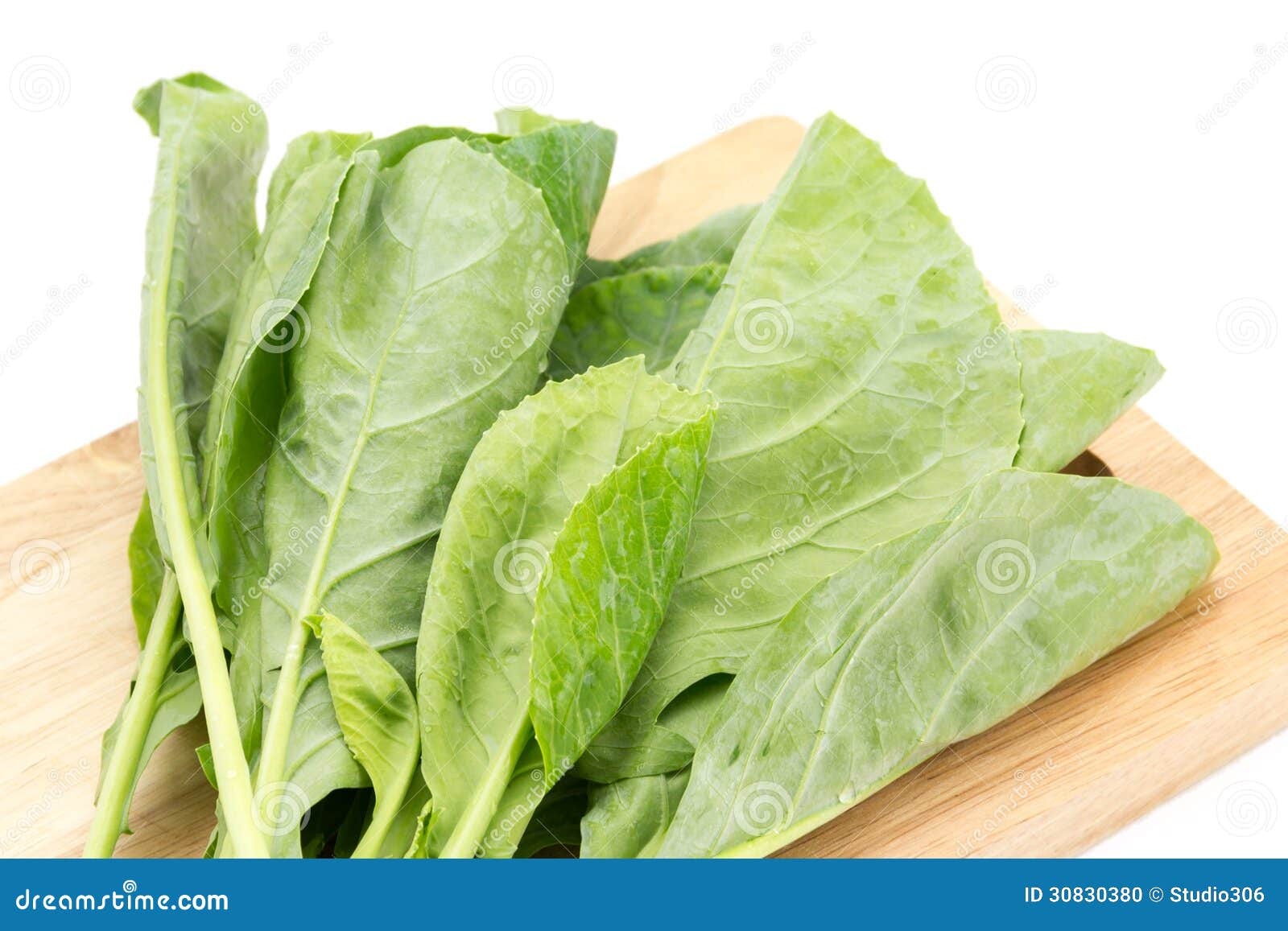 Kale vegetable stock photo. Image of healthy, chinese - 30830380