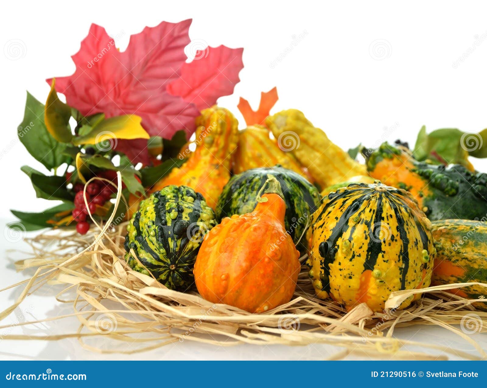 Kalebasser arkivfoto. Bild av - 21290516