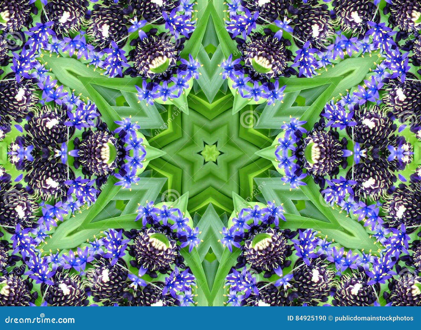 Kaleidoscope Design 36 Picture. Image: 84925190