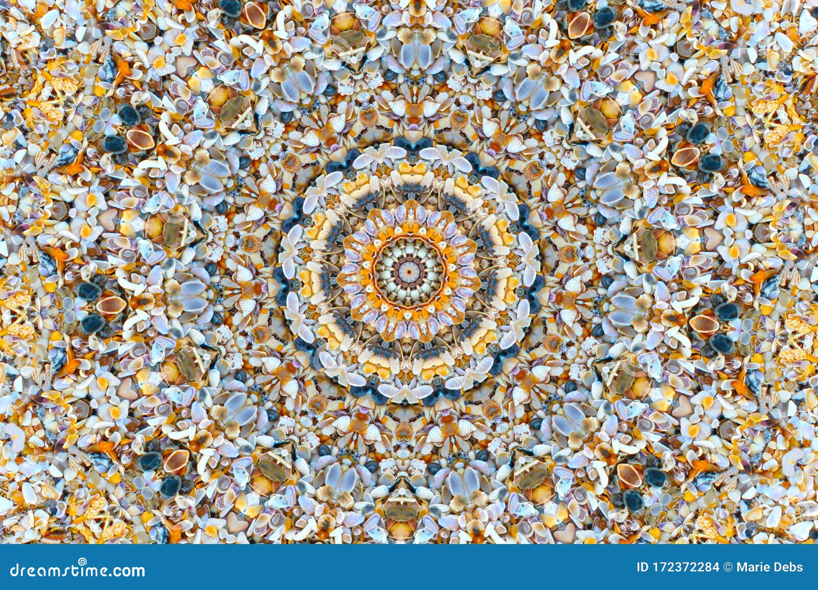 A Kaleidoscope of Seashells Stock Photo - Image of shapes, texture ...