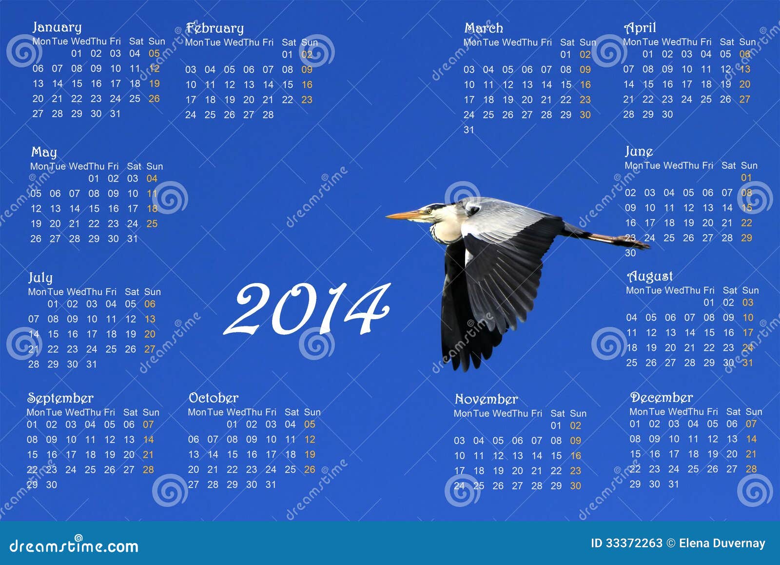 Kalender Englisch 2014 Mit Reiher Im Flug Stock Abbildung ...