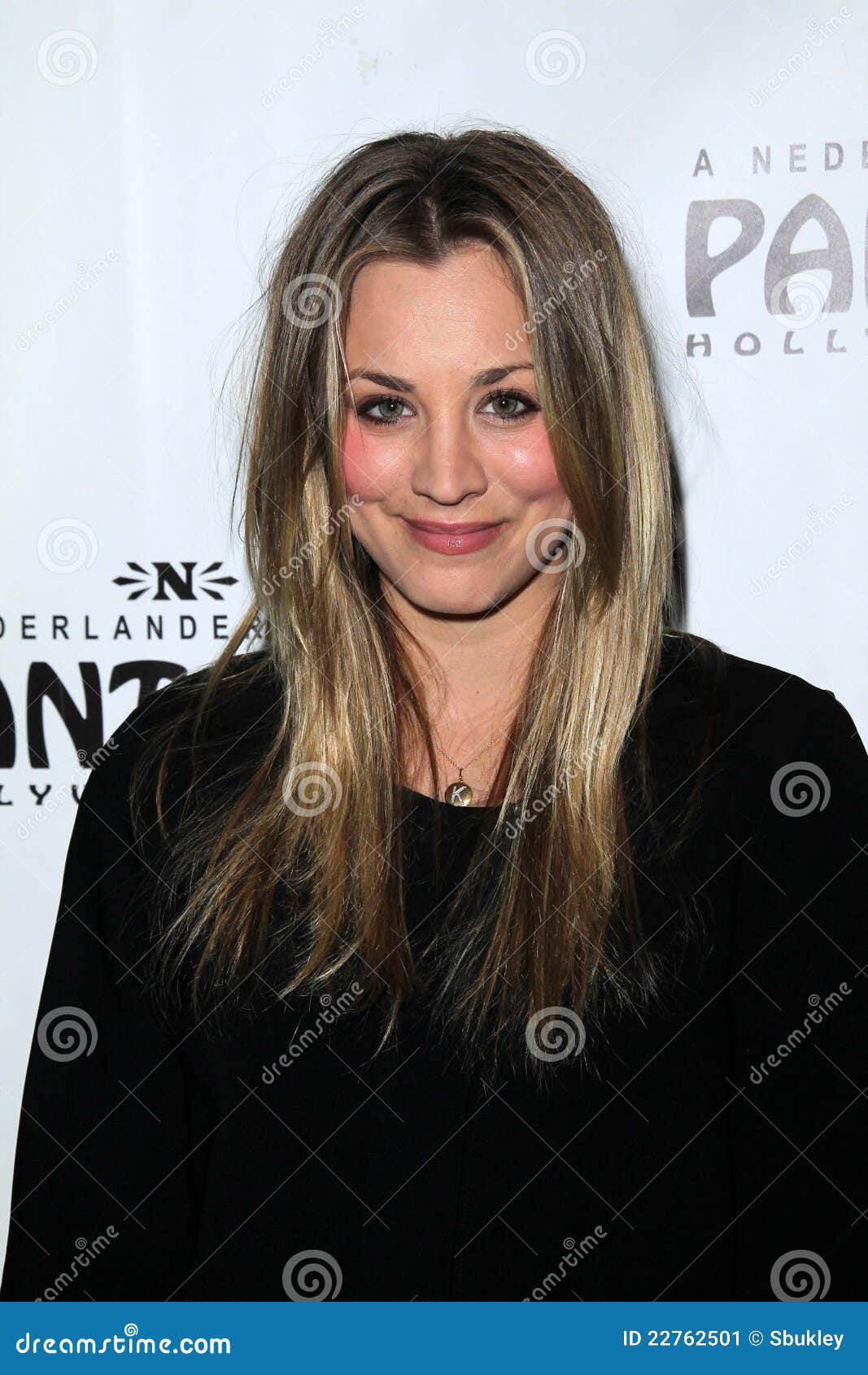 Kaley Cuoco editorial photo. Image of kaley, night, wicked - 22762501