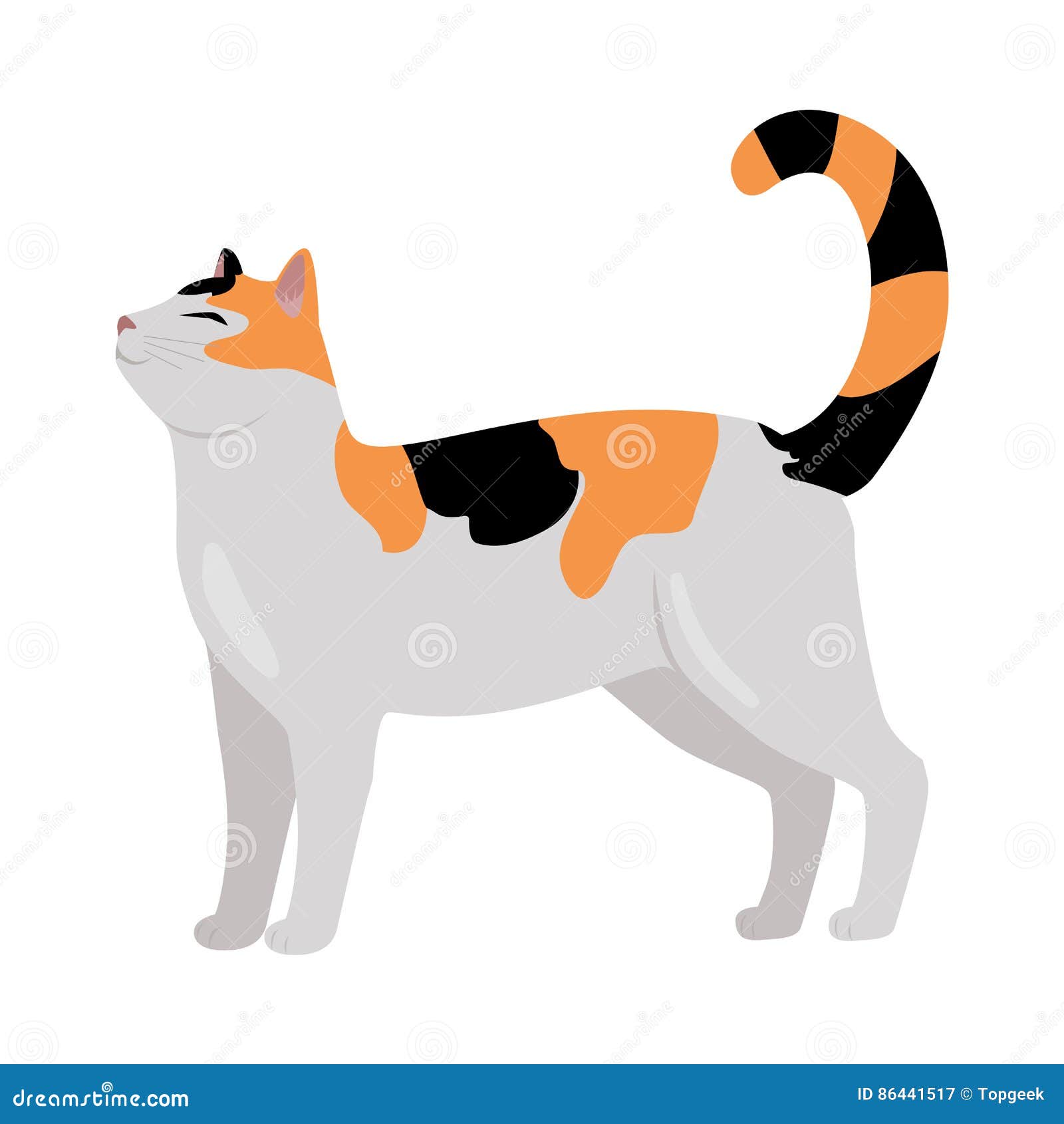 Kaliko Cat Vector Flat Design Illustration Vektor Abbildung ...