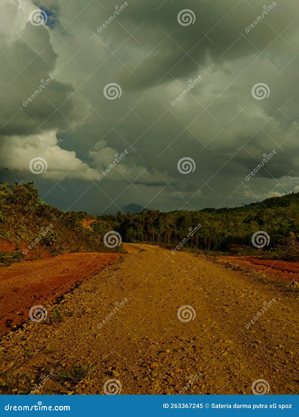 Kalimantan is an Area with High Rainfall. Stock Image - Image of high ...