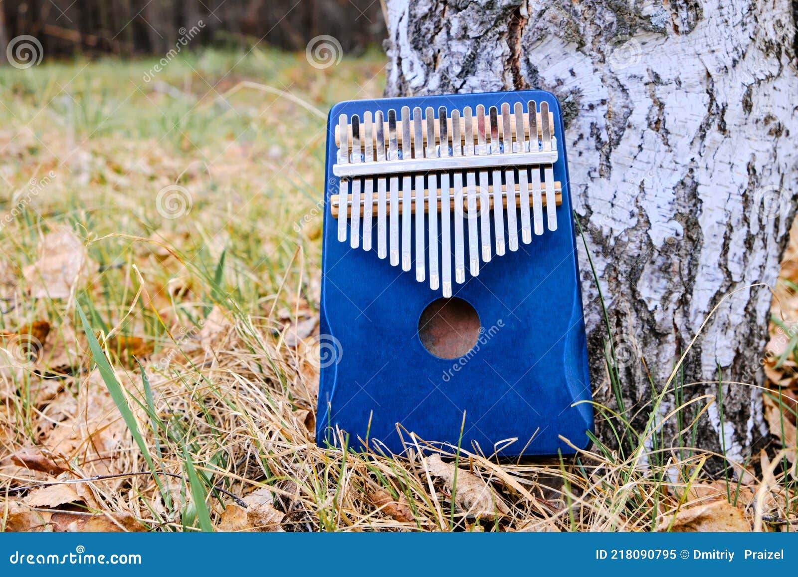 Kalimba is an African Musical Instrument in Forest Near Tree Stock ...