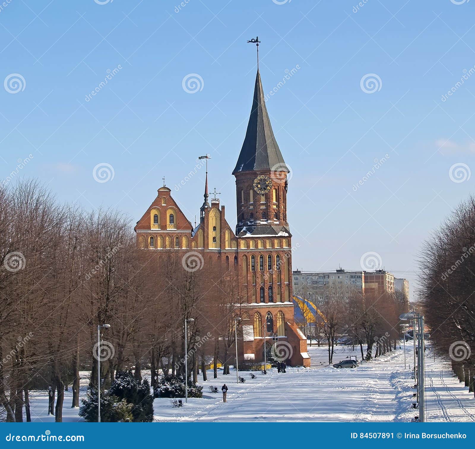 Kaliningrad, Russia. Cathedral in Winter Stock Image - Image of ...