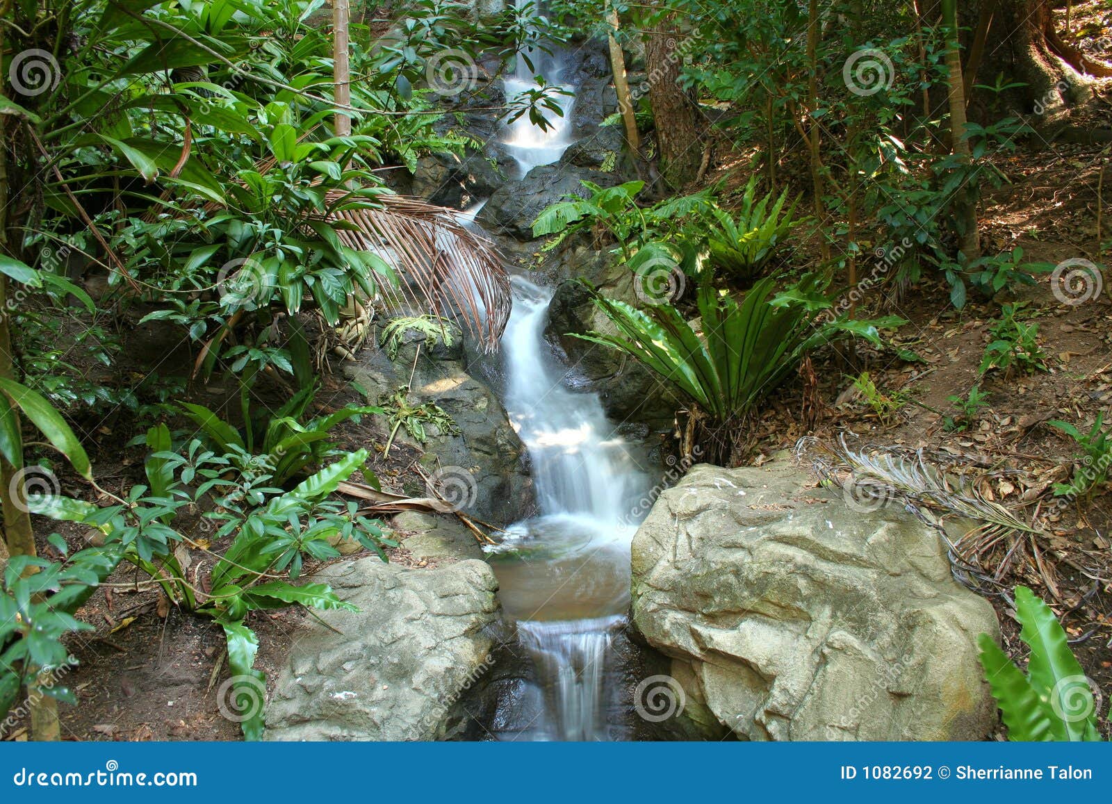 Kall kaskad arkivfoto. Bild av vatten, vattenfall, blad - 1082692