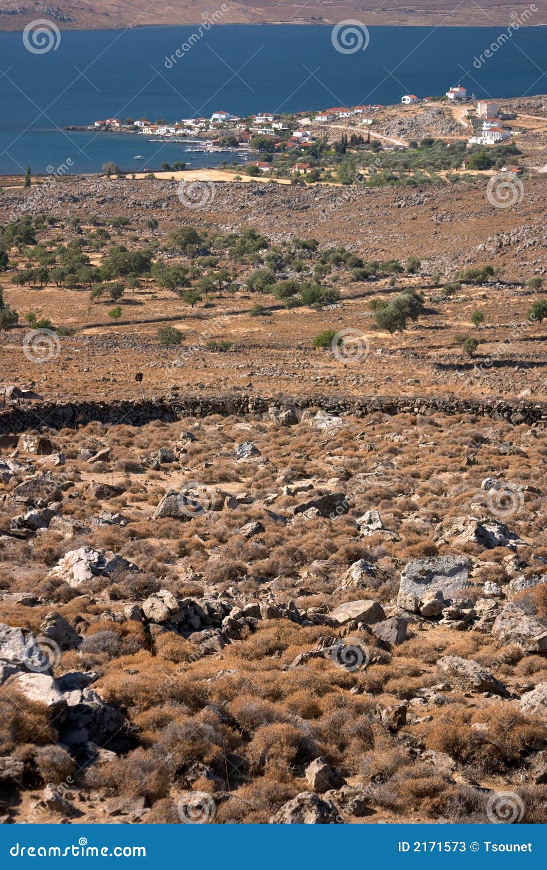 Kalloni gulf, Lesvos stock image. Image of lesvos, birds - 2171573