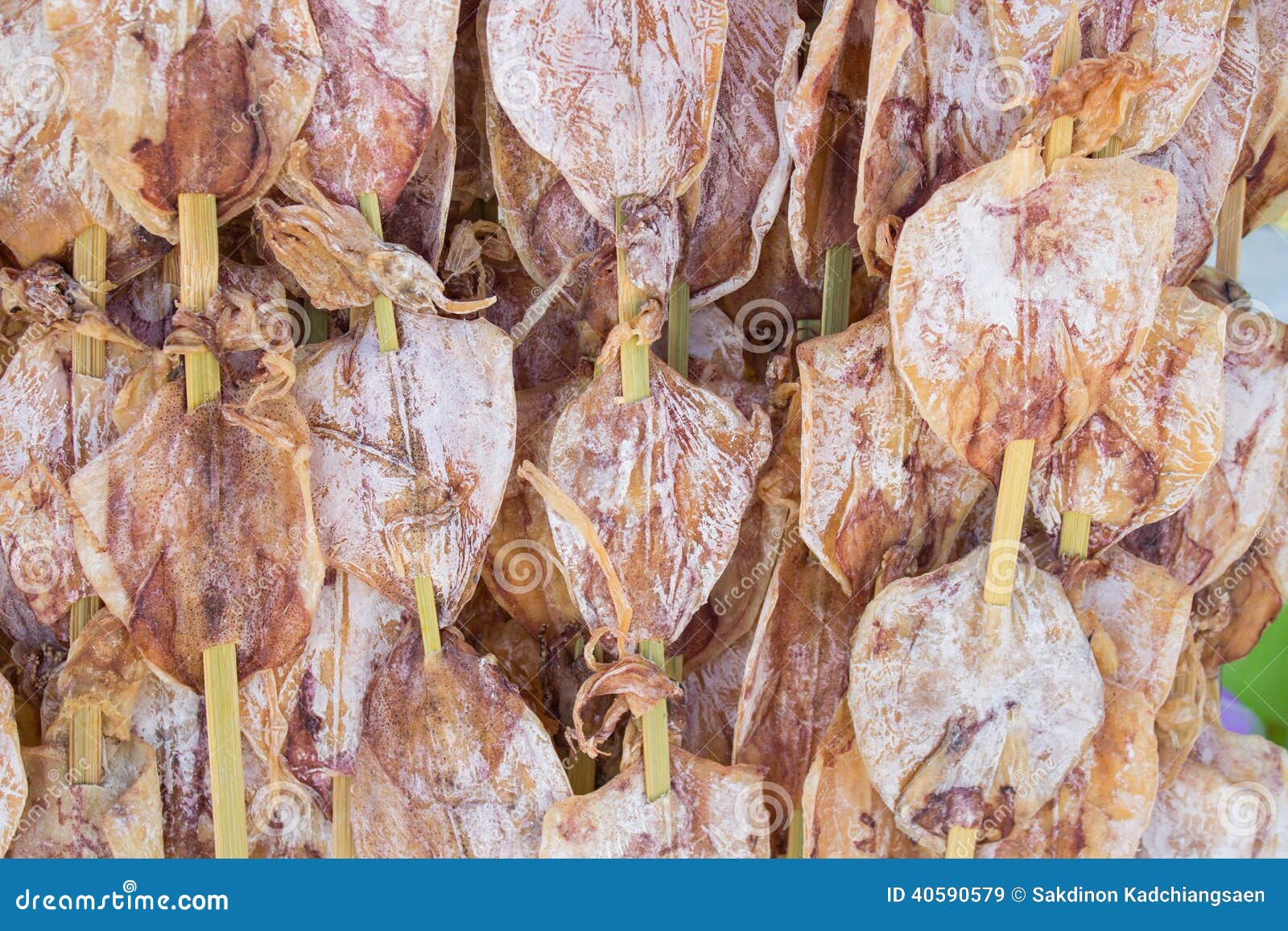 Kalmar stockbild. Bild von tier, meeresfrüchte, markt - 40590579