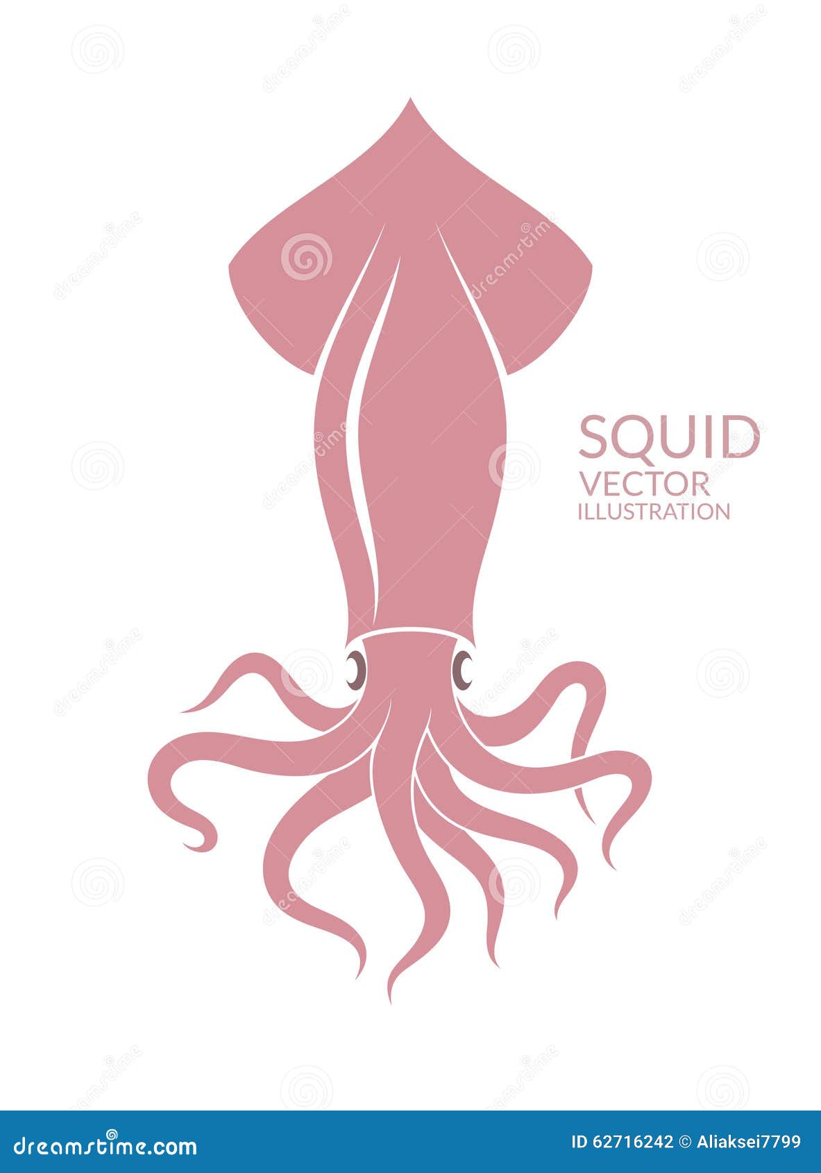 Kalmar vektor abbildung. Illustration von exotisch, vektor - 62716242