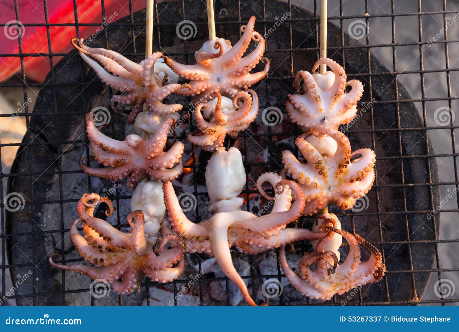 Kalmar-Grill stockbild. Bild von meer, kalmar, gekocht - 53267337