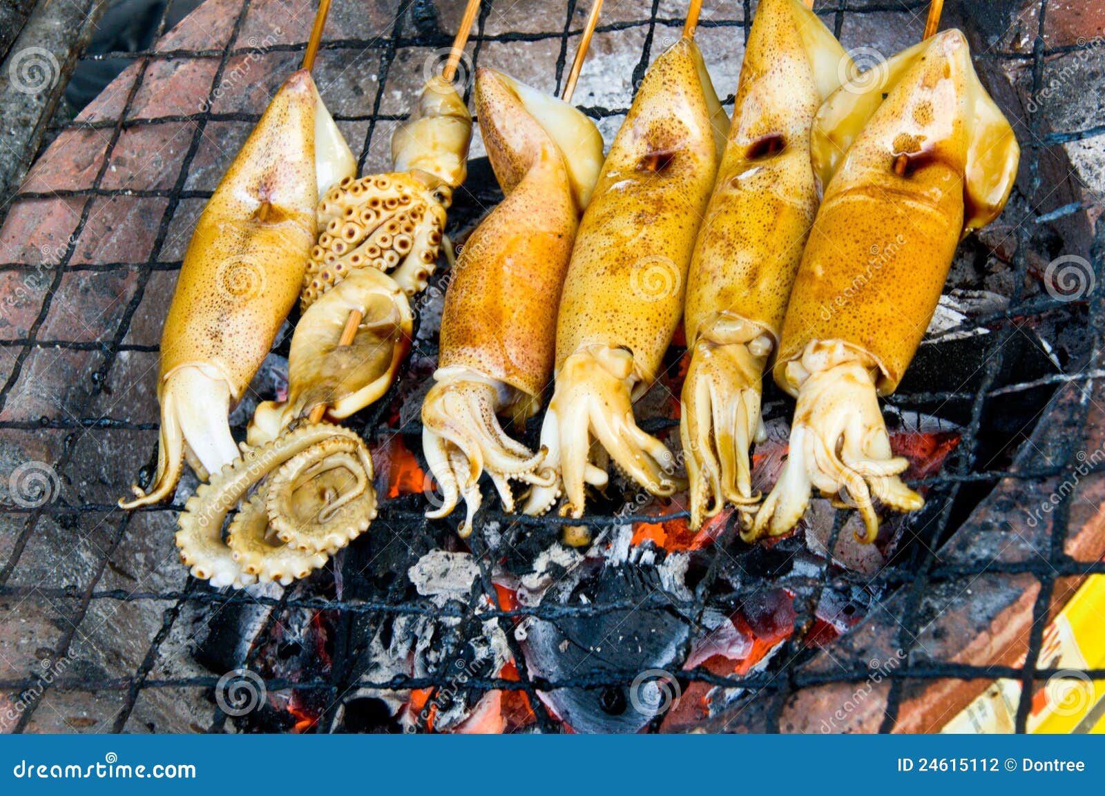 Kalmar-Grill-rohes Aufsteckspindel-Set Stockfoto - Bild von ozean ...