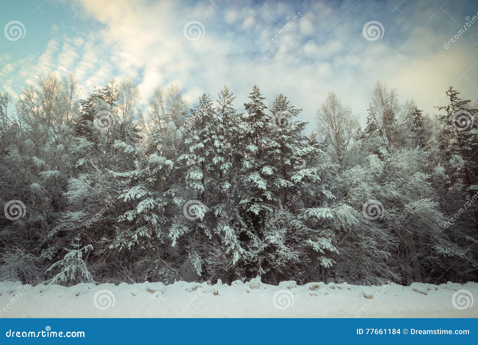 Kalter Winter in Russland stockfoto. Bild von schön, winter - 77661184