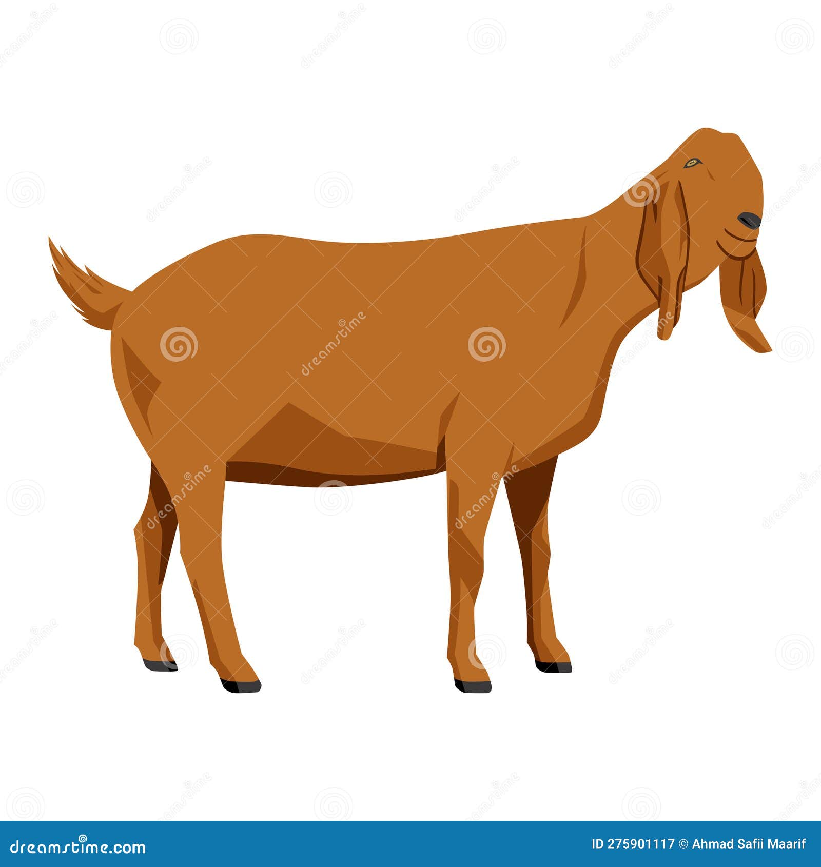 Goat Vector Illustration Isolated On White Background | CartoonDealer ...