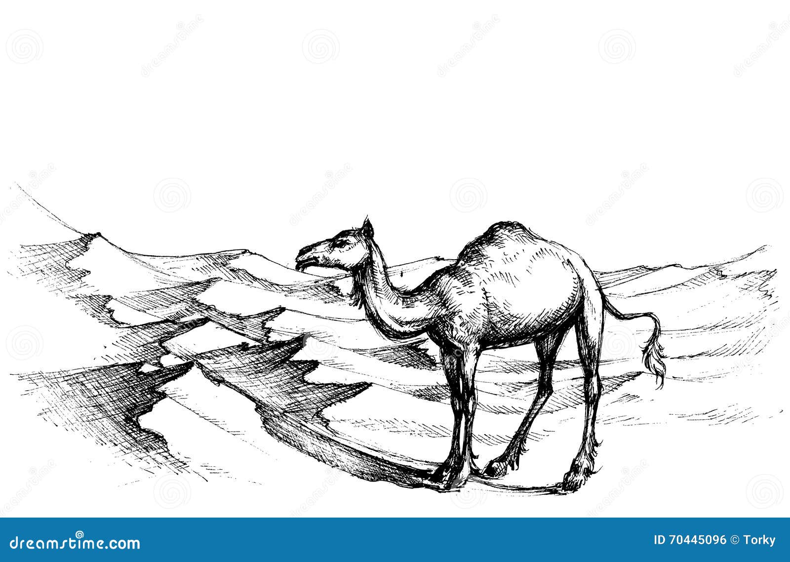 Kameel in de woestijn vector illustratie. Illustration of dier - 70445096