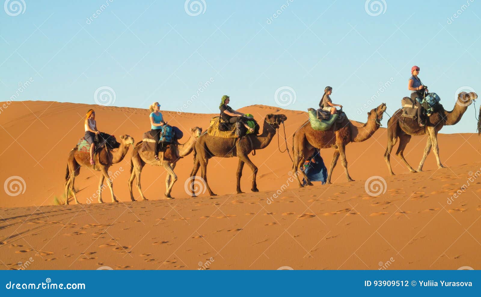 Kameelcaravan in De Duinen Van De Het Zandwoestijn Van Afrika ...