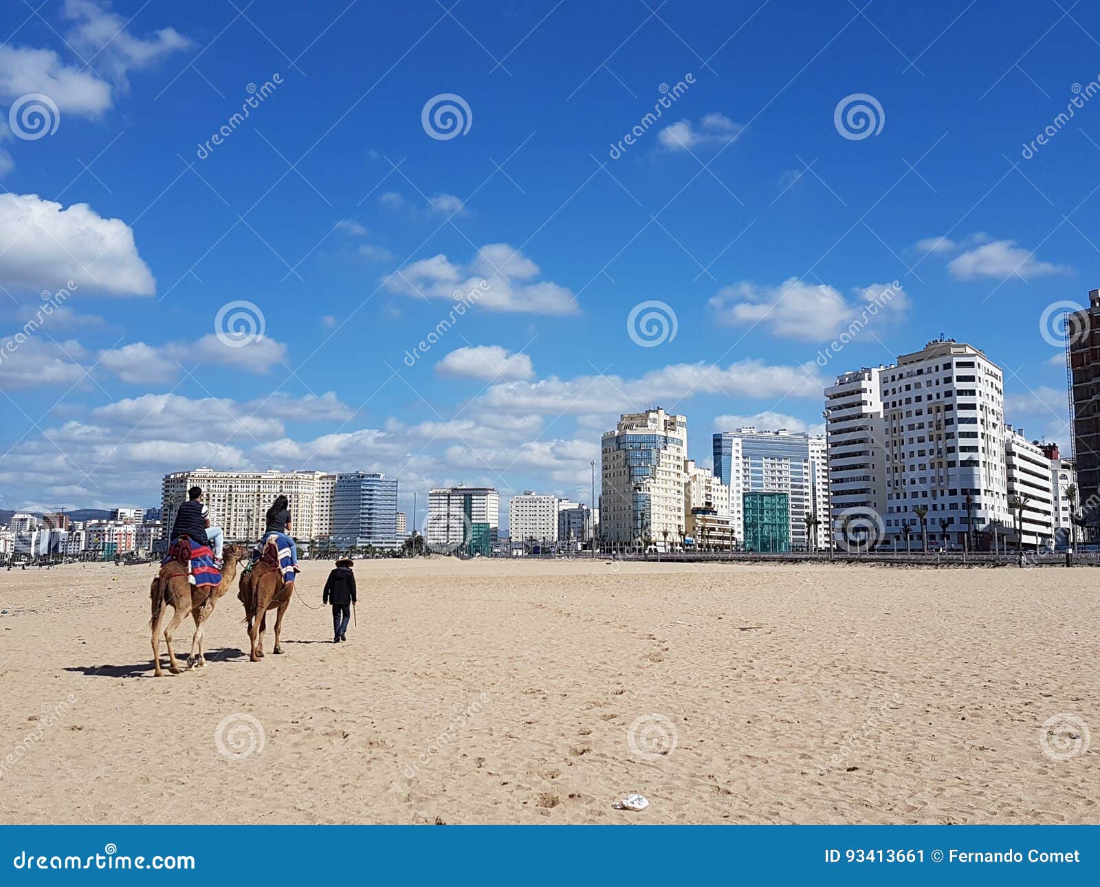 Kamele in Tanger-Strand redaktionelles foto. Bild von marokko - 93413661