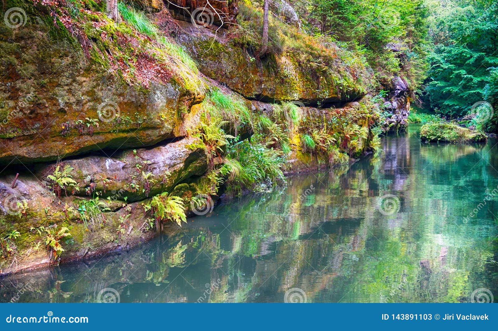 Kamenice River from the Small Ship Stock Image - Image of landscape ...