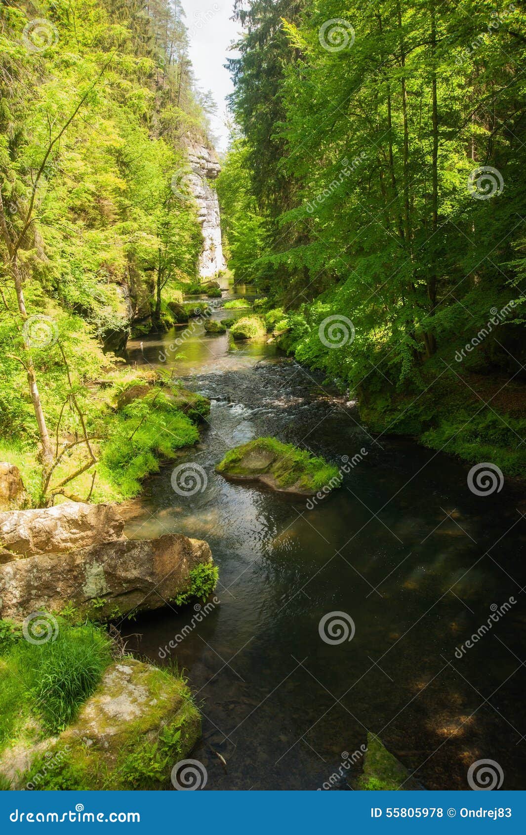Kamenice river stock photo. Image of creek, rock, landscape - 55805978