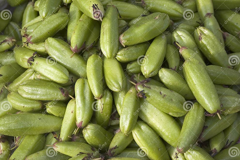 Kamias stock image. Image of bilimbi, fruit, cylindrical - 988959