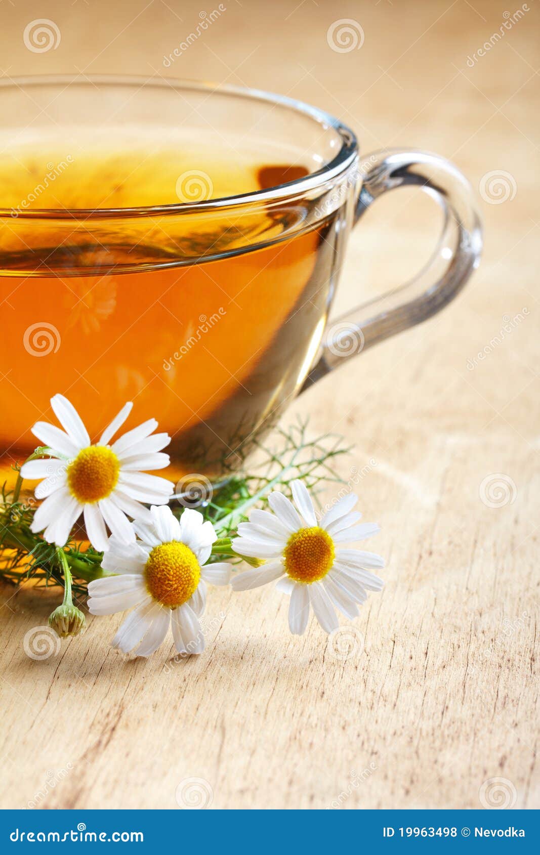 Kamillentee stockfoto. Bild von nave, kräuter, hintergrund - 19963498