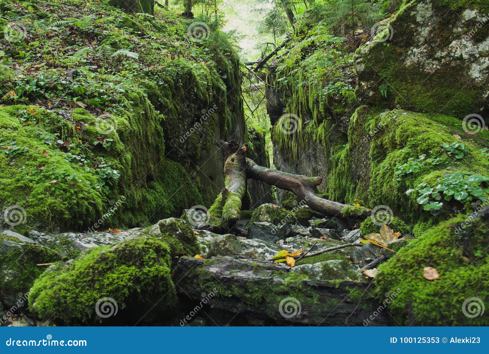 5,805 Skreva Foton - Gratis och royaltyfria stockfoton från Dreamstime