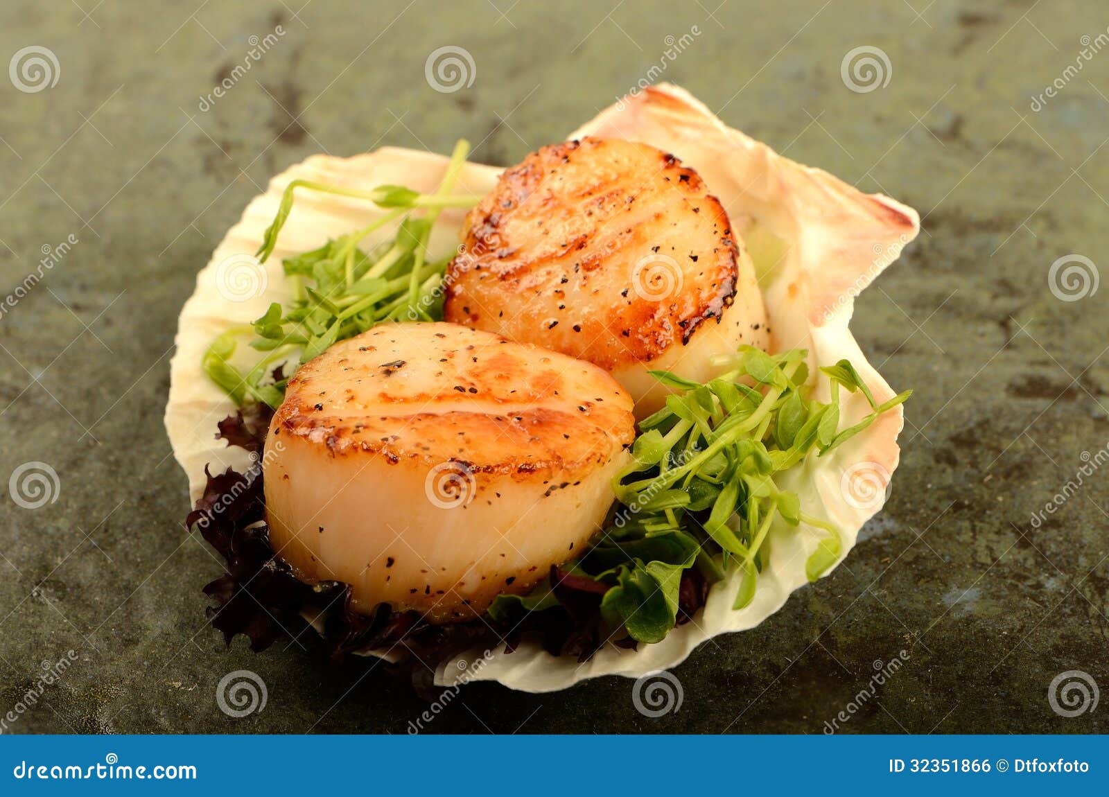 37,636 Kammussla Foton - Gratis och royaltyfria stockfoton från Dreamstime