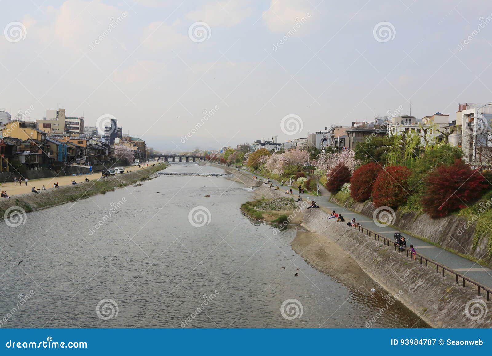 Kamo River in the Center of Kyoto in Spring Editorial Photography ...