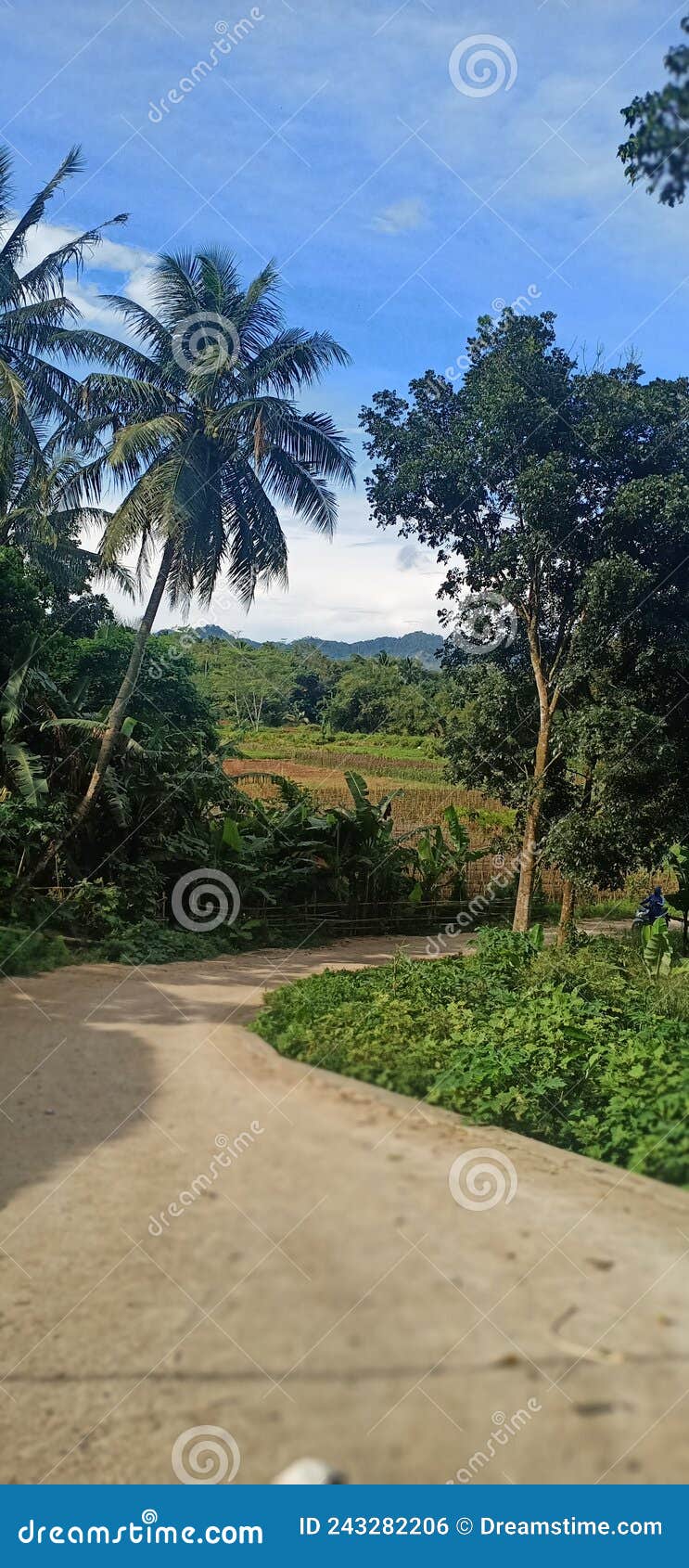 Kampung di rumpin stock photo. Image of waterfall, woodland - 243282206