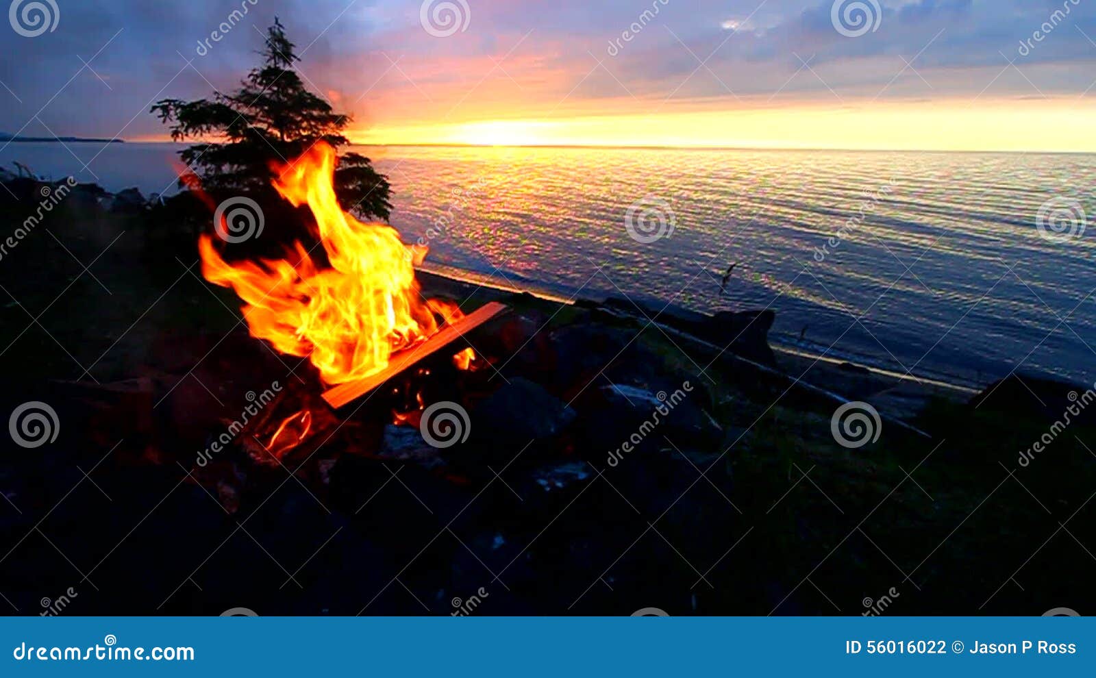 Kampvuur Van Het Strand Van Het Meer Het Superieure Stock Footage ...