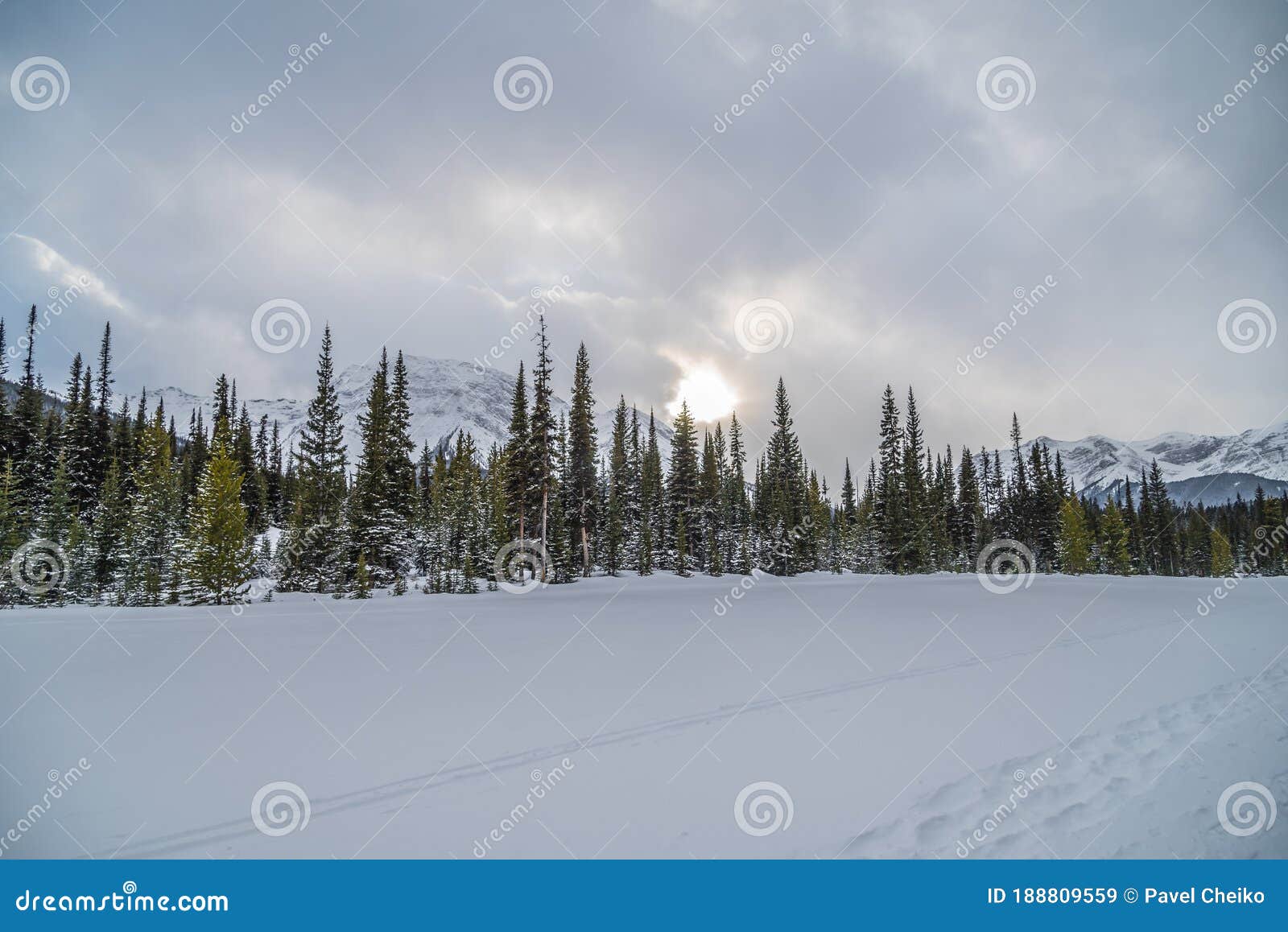 Kananaskis Country stock image. Image of winter, white - 188809559