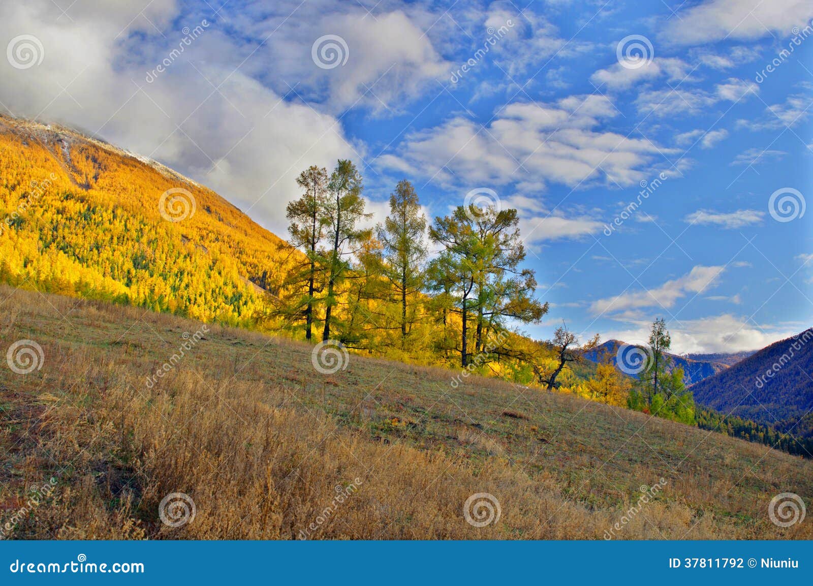 Kanas in Autumn,color of Autumn Stock Photo - Image of china, blue ...