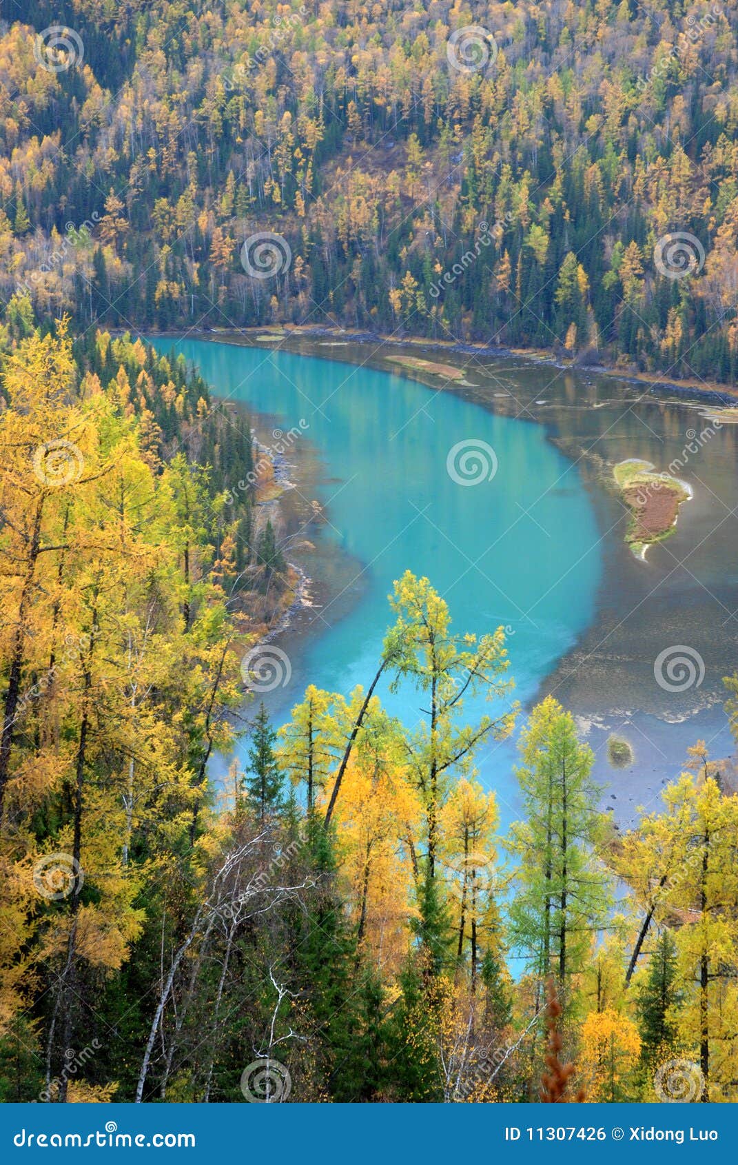 Kanas River stock photo. Image of forest, tree, nature - 11307426