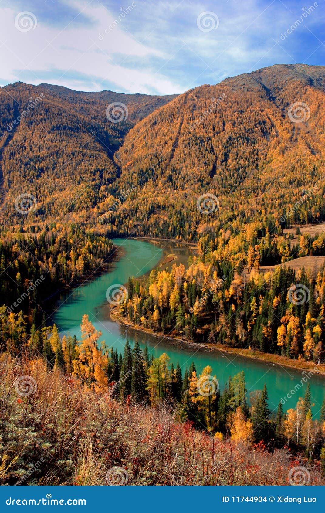 Kanas River stock photo. Image of water, kanas, tree - 11744904
