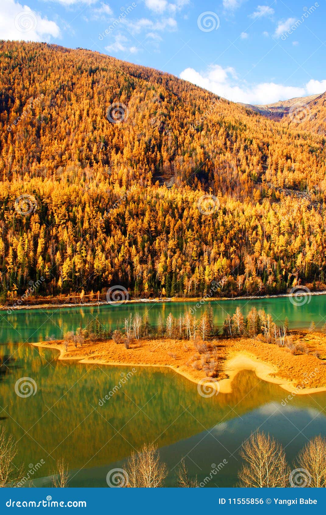 Kanasi river stock illustration. Illustration of forest - 11555856