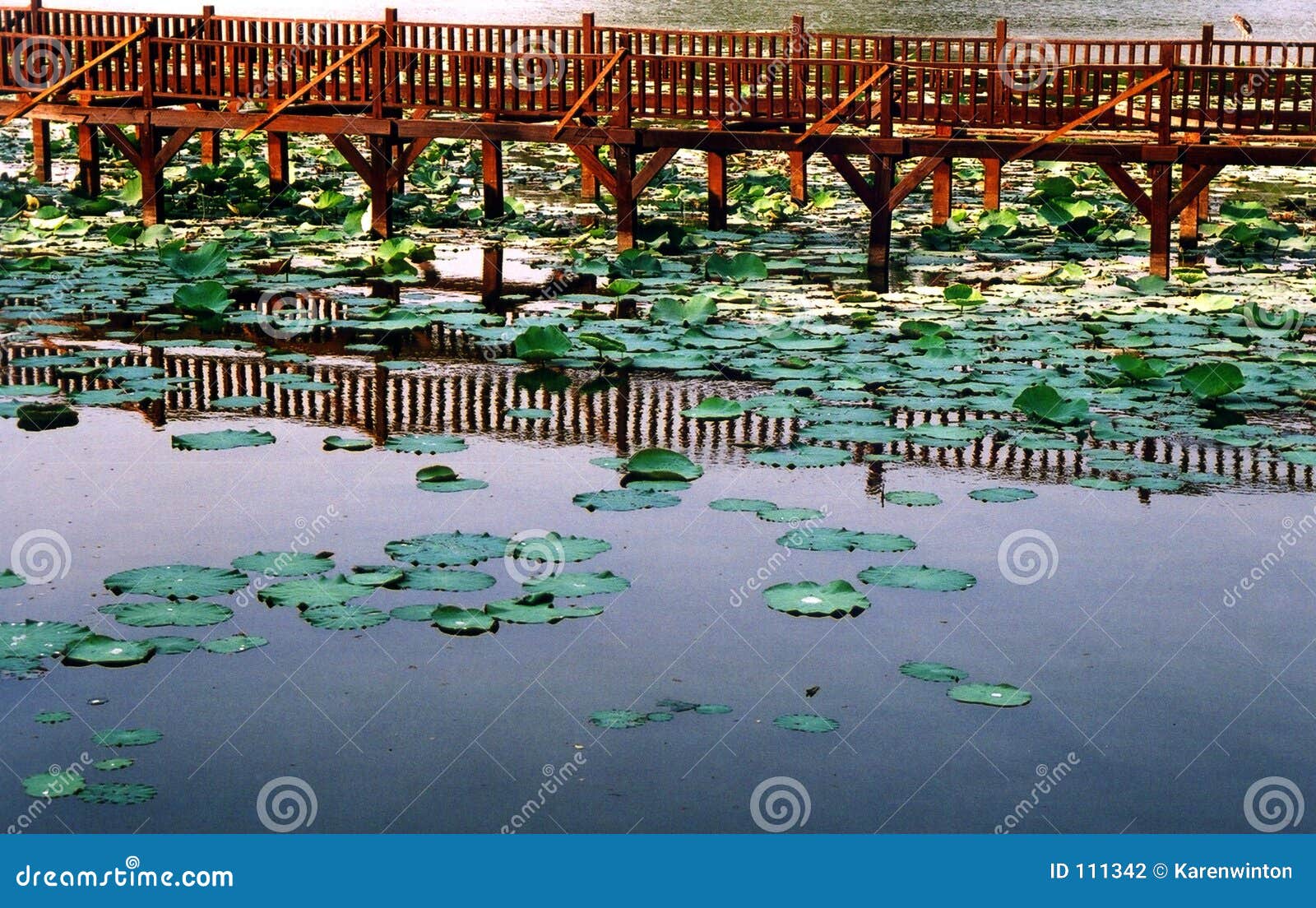 Kandawgyi Lake, Yangon stock photo. Image of footpath, lake - 111342