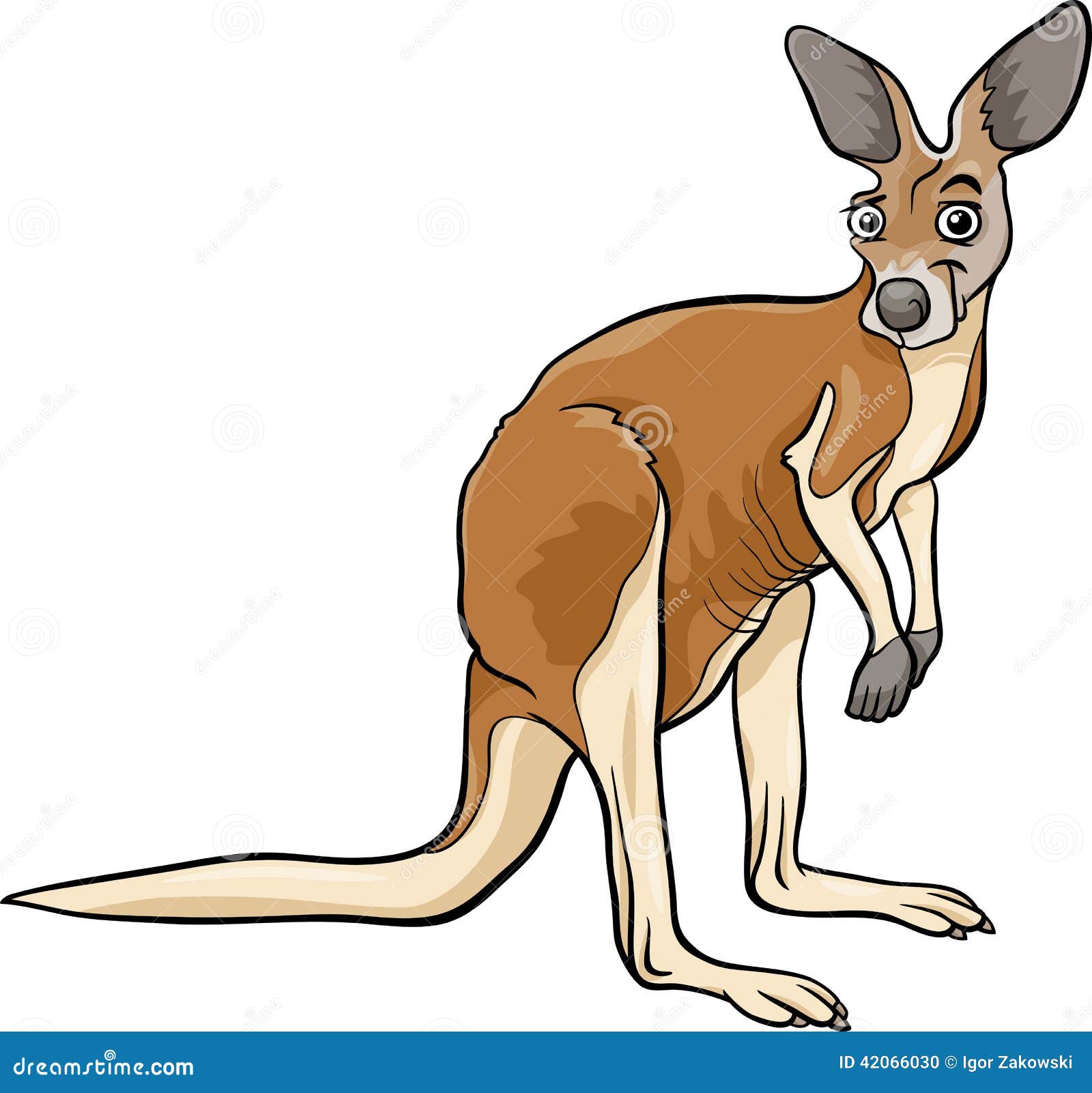 Kangaroo Animal Cartoon Illustration Stock Vector - Image: 42066030