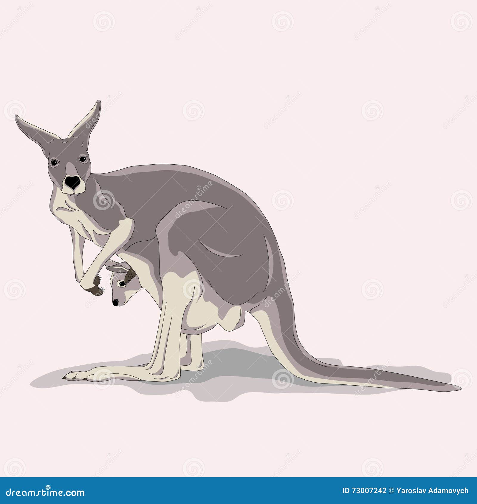 Kangaroo With Baby Kangaroo In Pouch Cartoon Vector | CartoonDealer.com ...