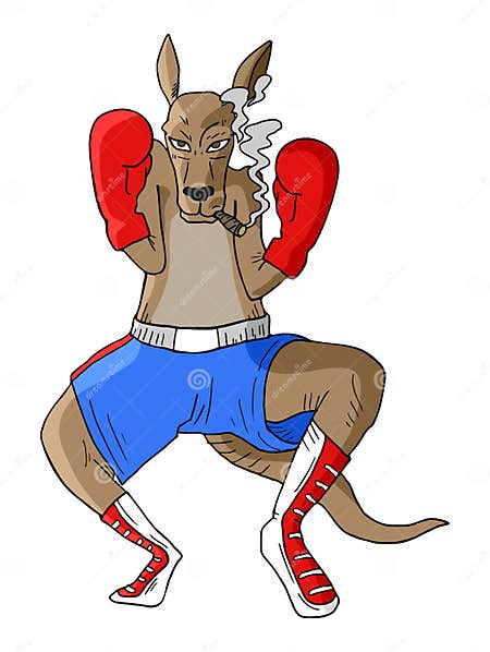 Kangaroo boxing stock vector. Illustration of domination - 47442468
