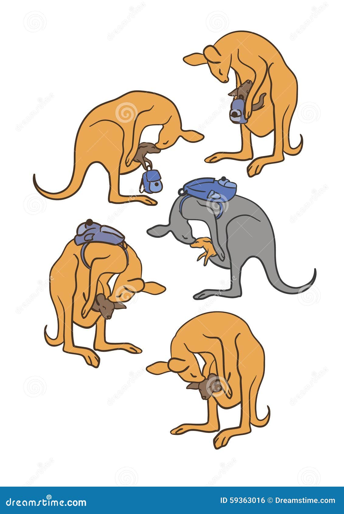 Kangaroo care stock illustration. Illustration of education - 59363016