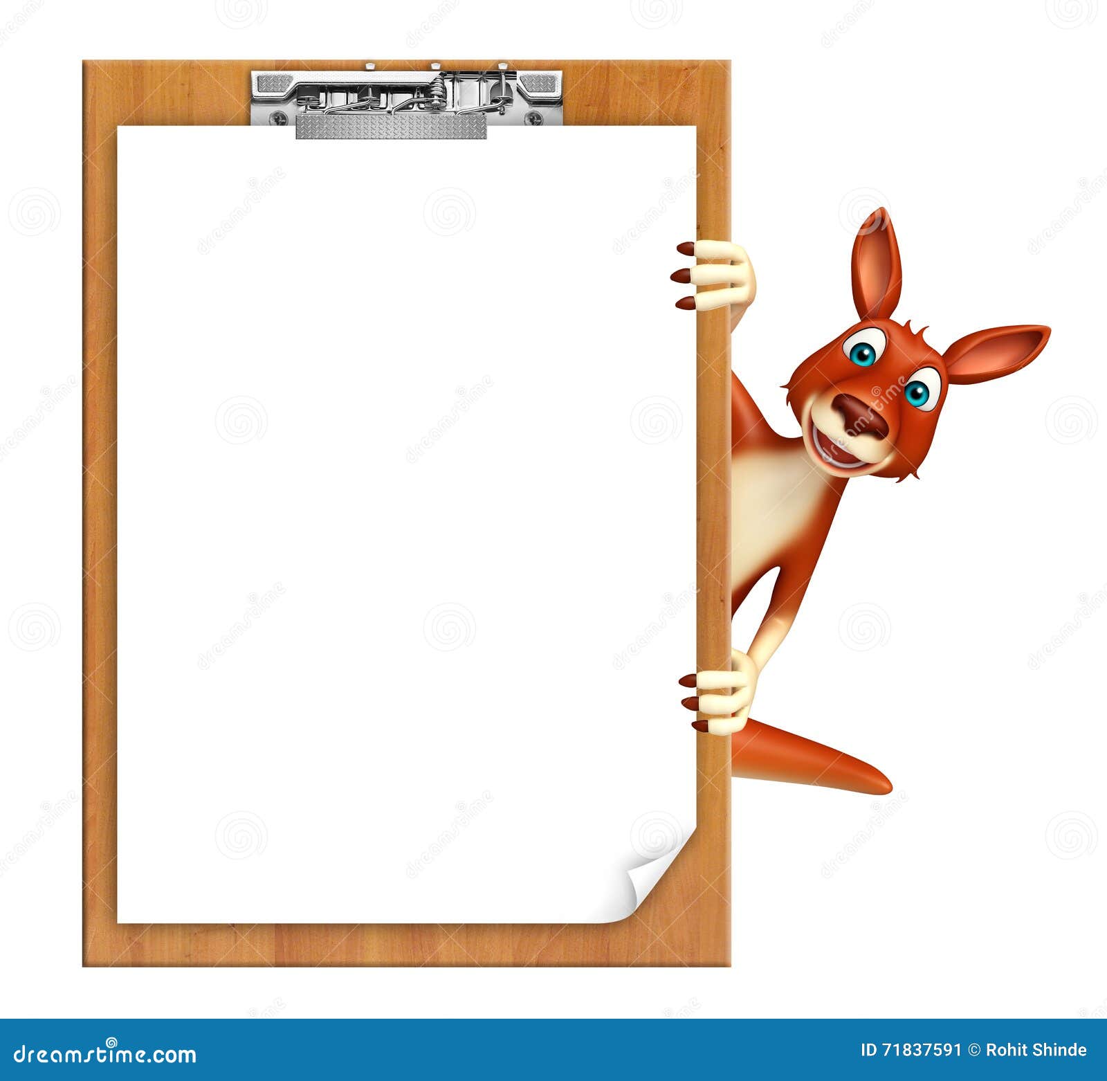 Kangaroo Cartoon Character with Exam Pad Stock Illustration ...