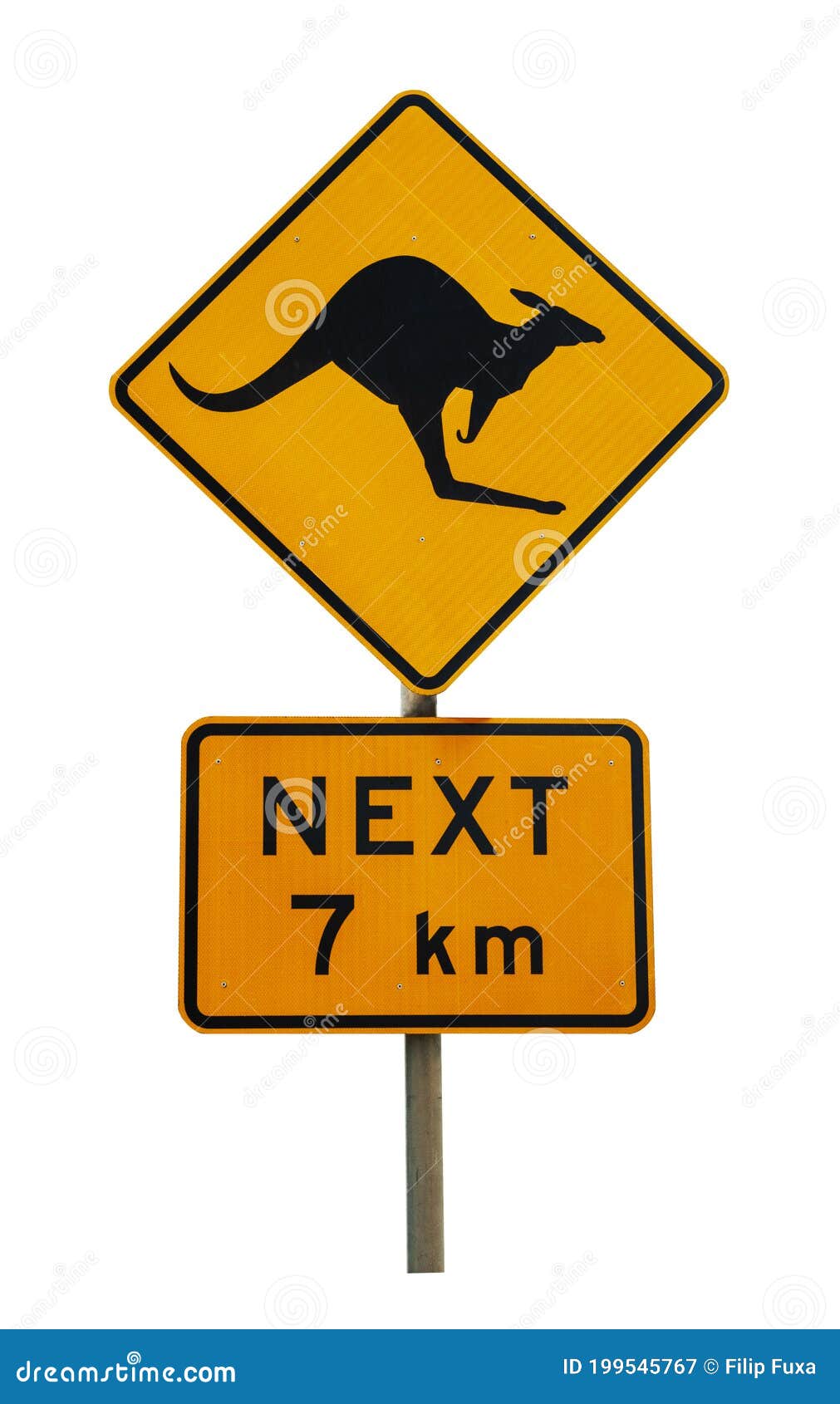 Kangaroo Caution Sign Isolated on White Stock Image - Image of ...