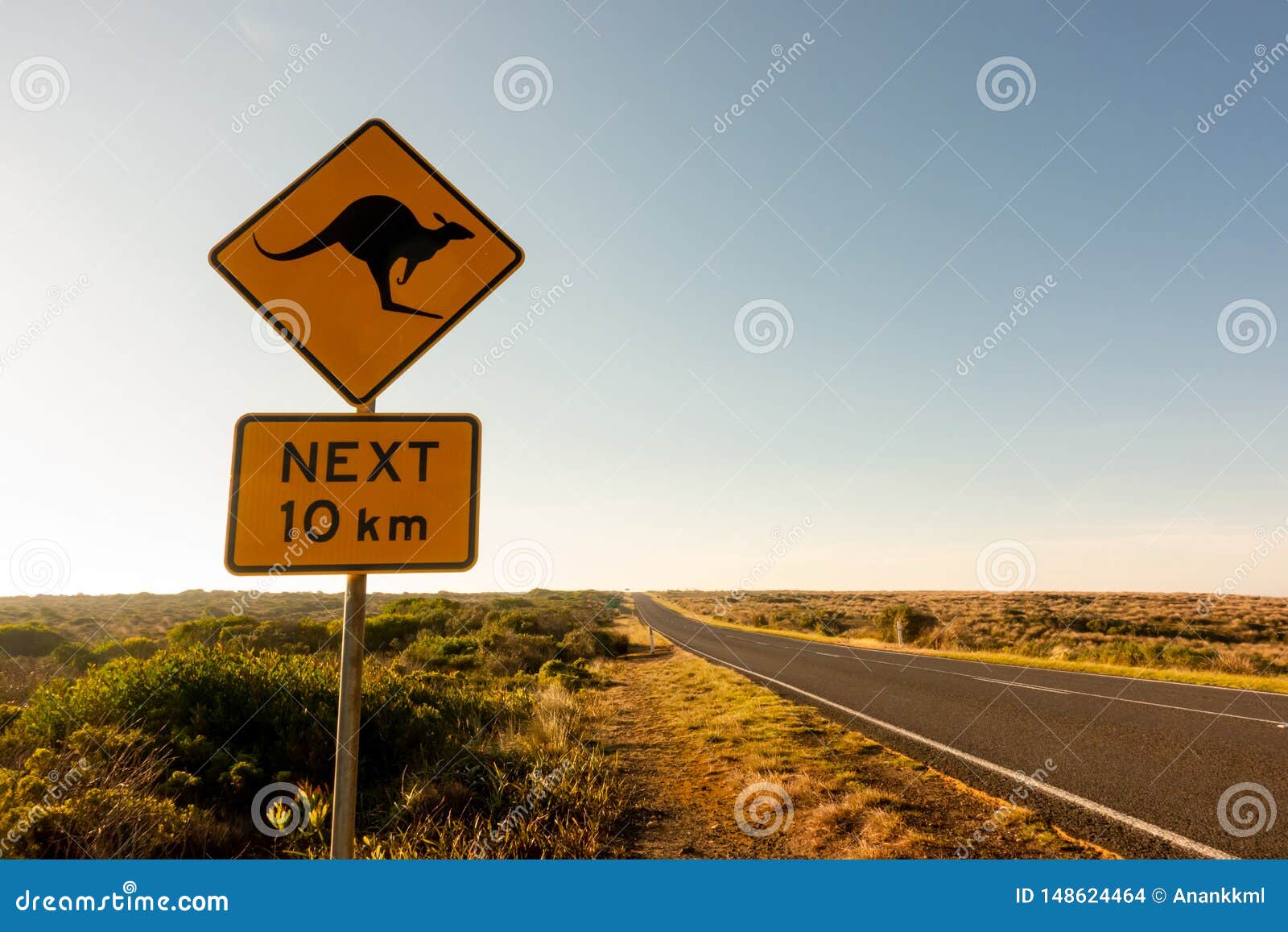 Kangaroo Crossing Road Sign Stock Photo - Image of wild, roadsign ...
