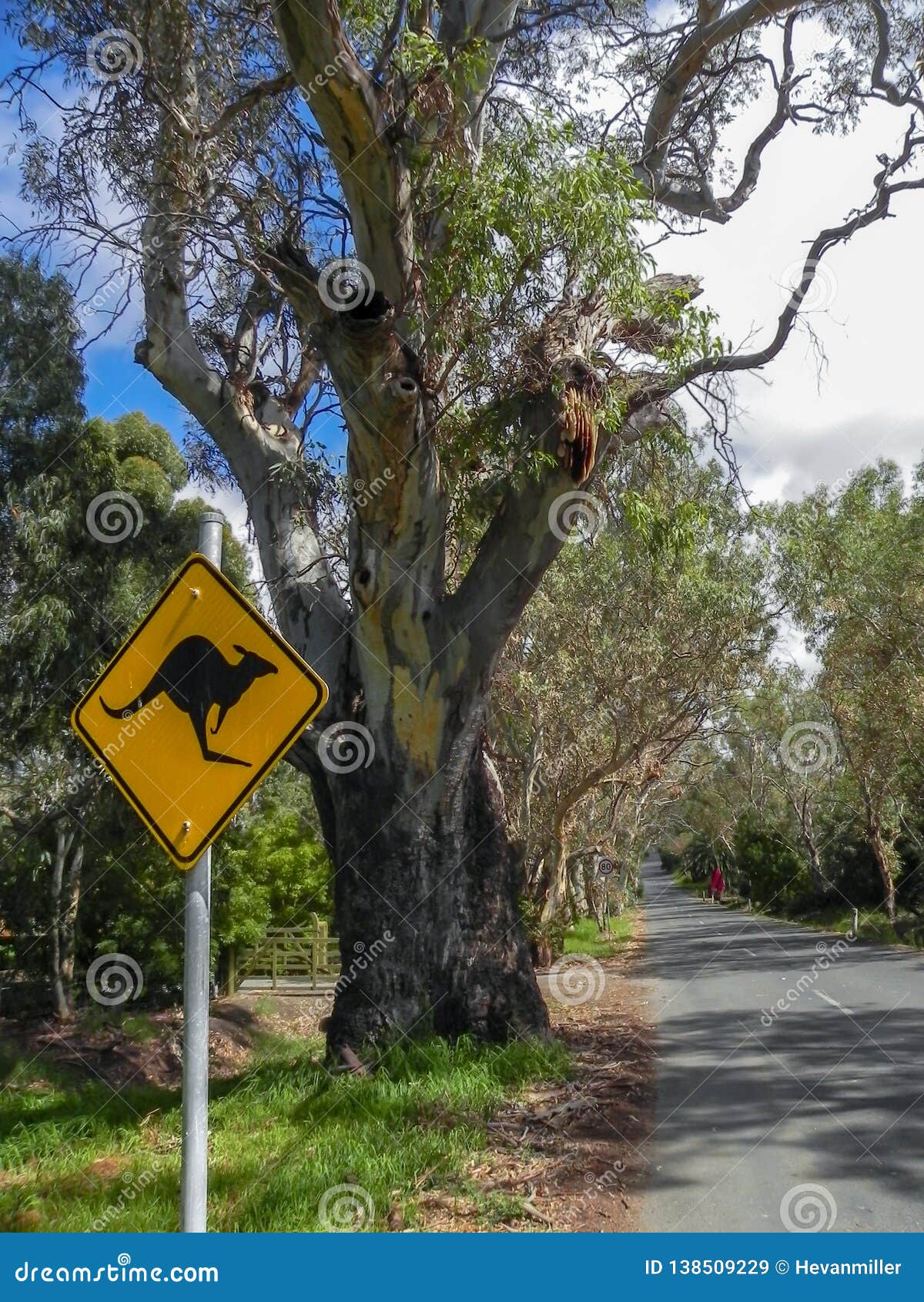 Yellow Kangaroo Crossing Sign on the Roadside Stock Image - Image of ...
