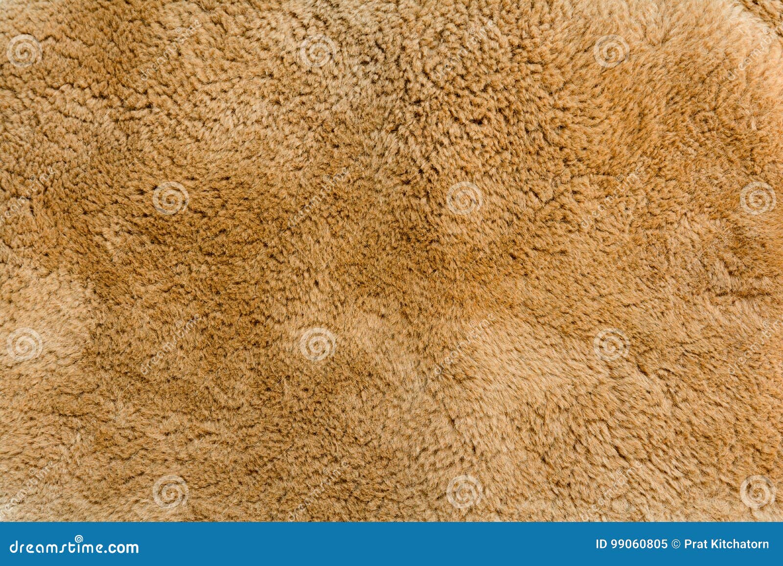 Kangaroo Fur Texture and Background Stock Image - Image of beautiful ...