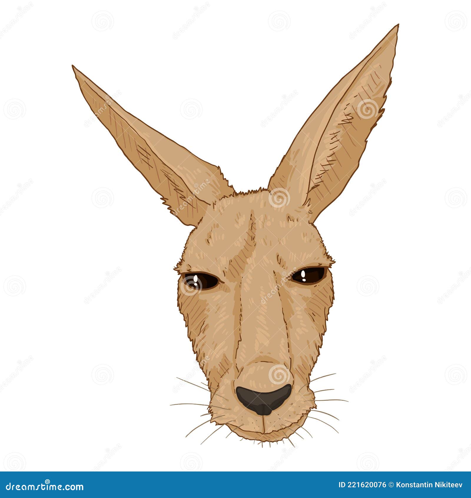Kangaroo Head Vector Cartoon Illustration Stock Vector - Illustration ...